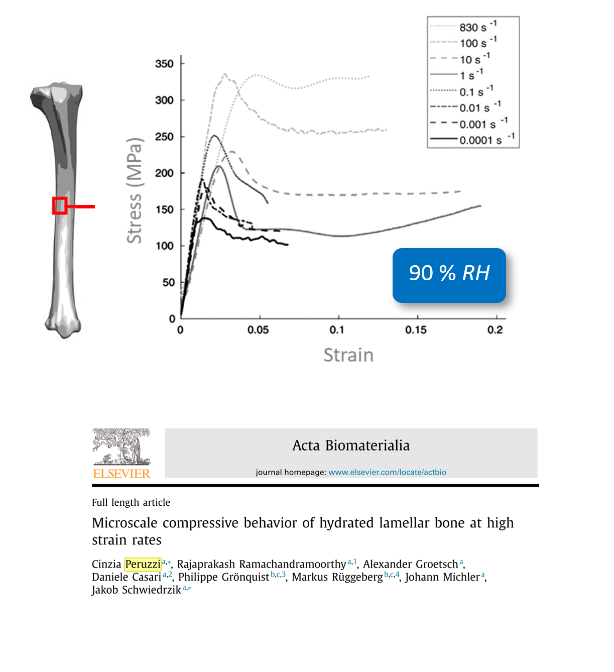 High Strain Rate | Ultra-high Strain Rate | Testing | ASA